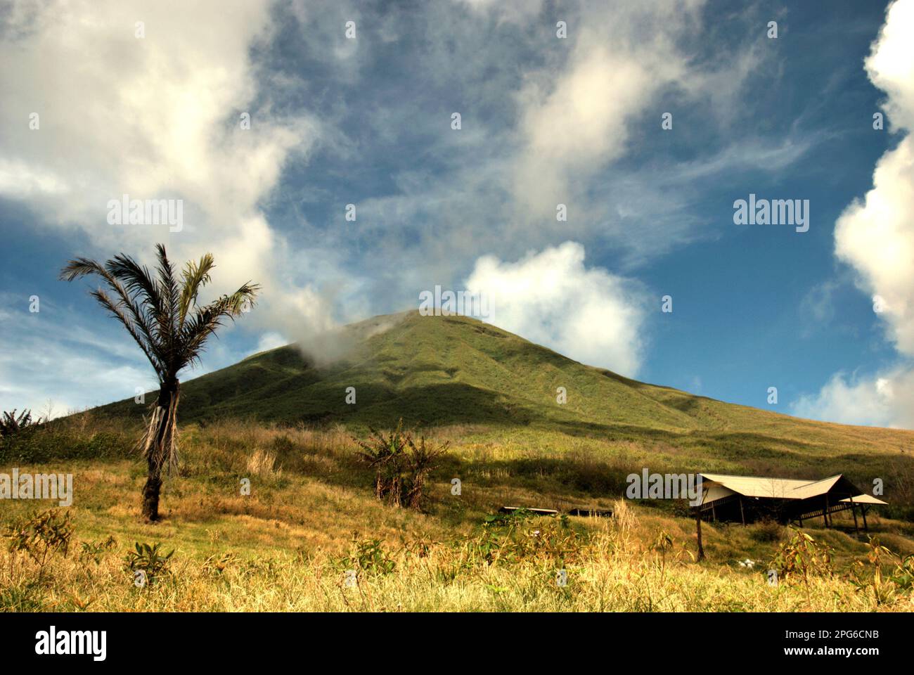 Scenery of Mount Lokon, an active volcano, with a sugar palm tree ...