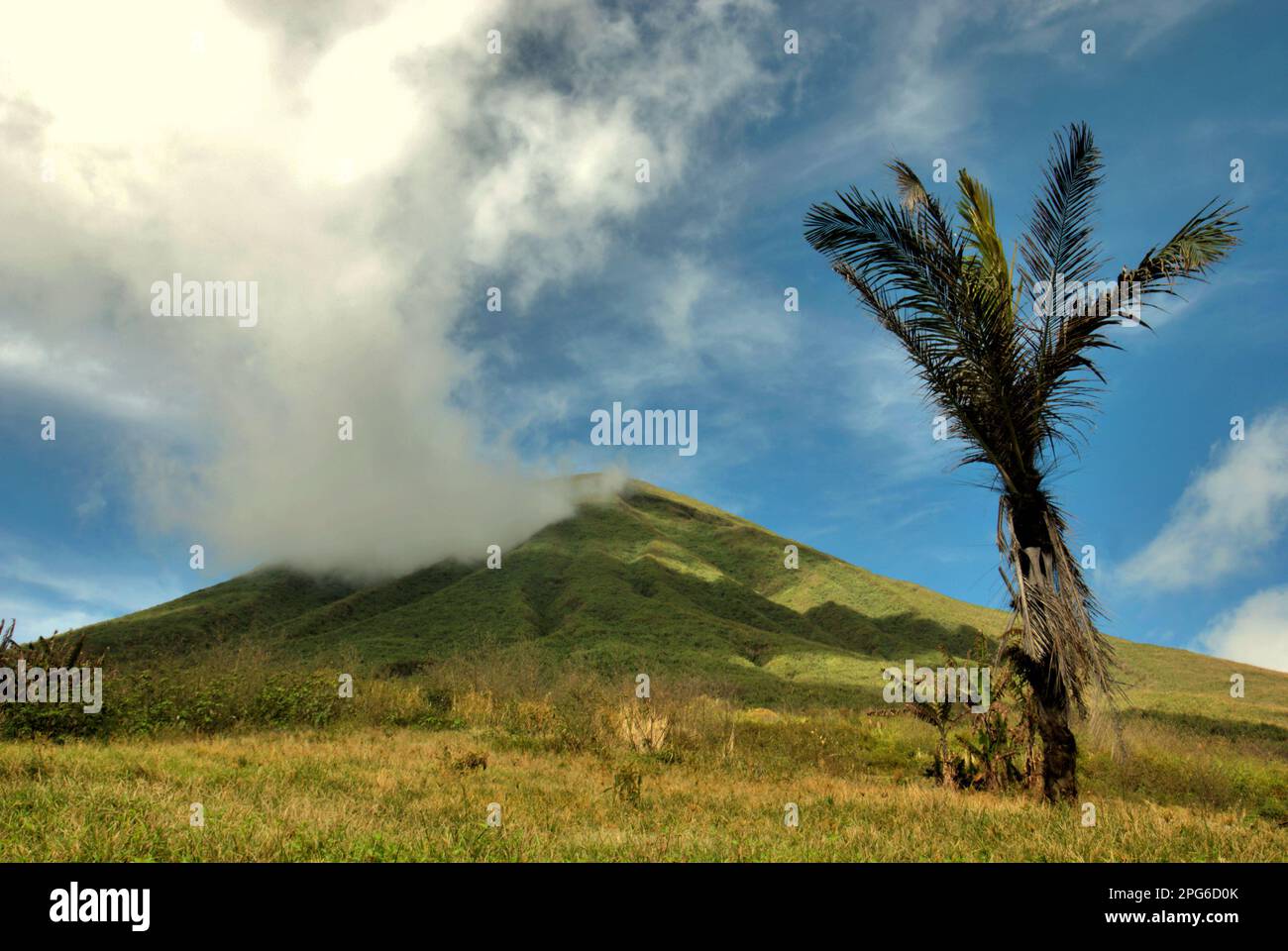 Scenery of Mount Lokon, an active volcano, with a sugar palm tree ...