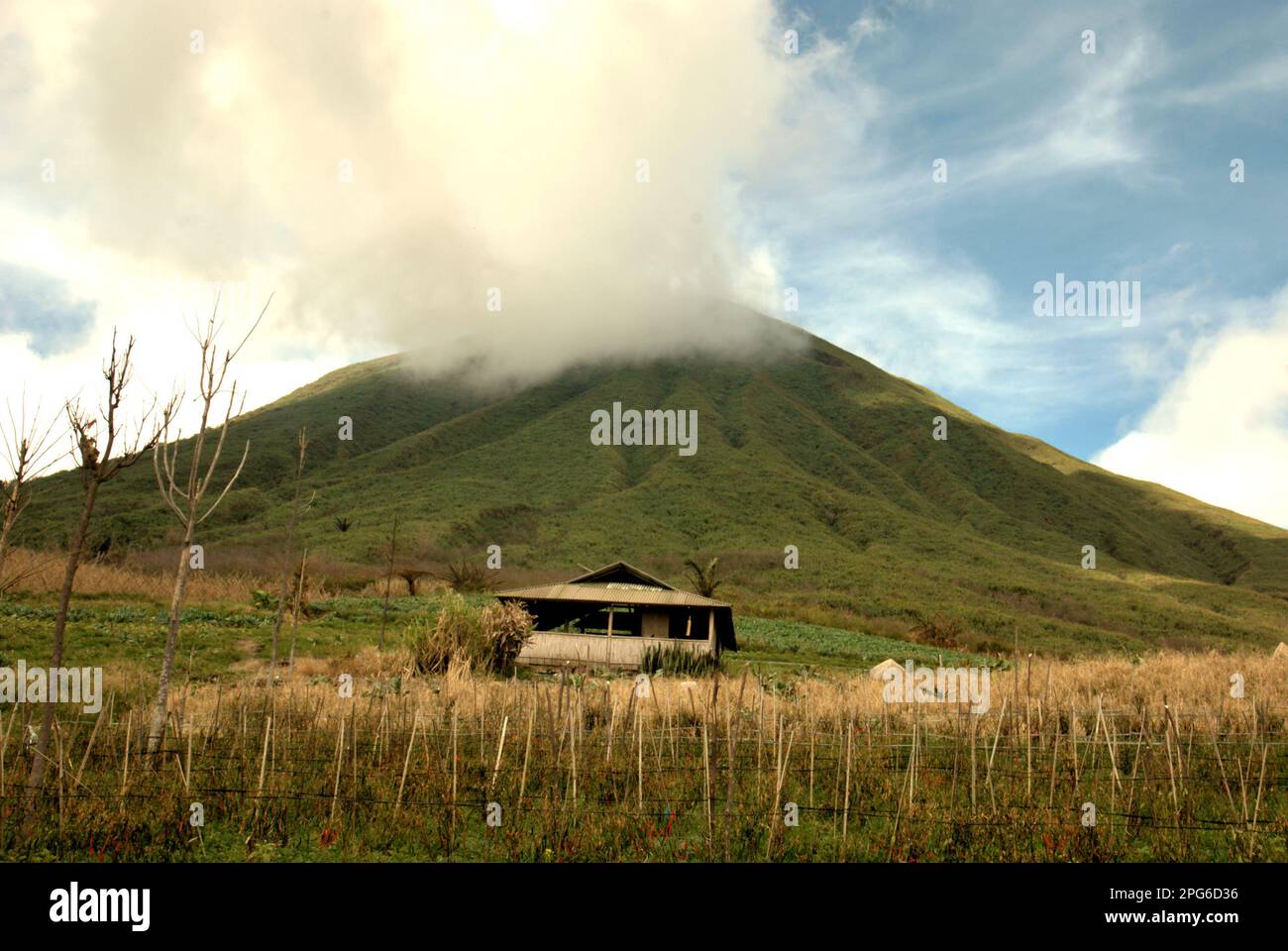 Agricultural field and a wooden building on the slope of Mount Lokon ...