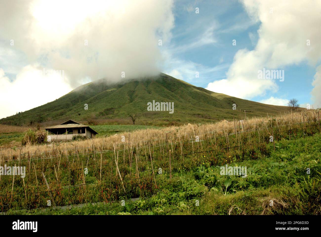 Agricultural field and a wooden building on the slope of Mount Lokon ...