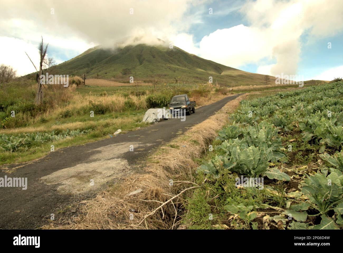 Agricultural field and a pick-up truck that is parked on rural road are ...