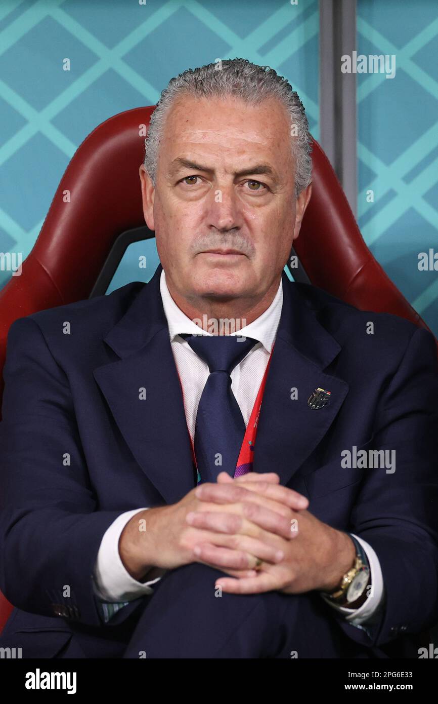 Coach Gustavo Alfaro of Ecuador seen during the FIFA World Cup Qatar ...