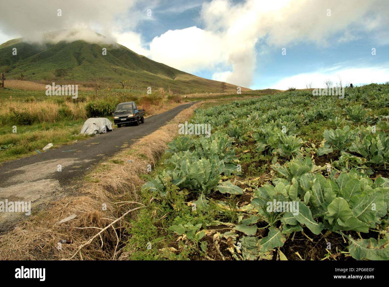 Agricultural field and a pick-up truck that is parked on rural road are ...