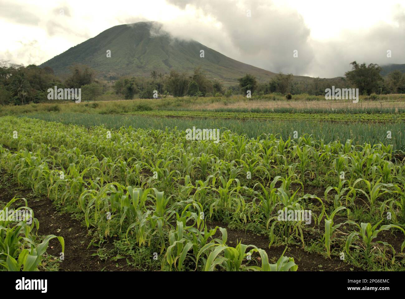 Fields of corn field and other crops are seen at the foot of Mount ...