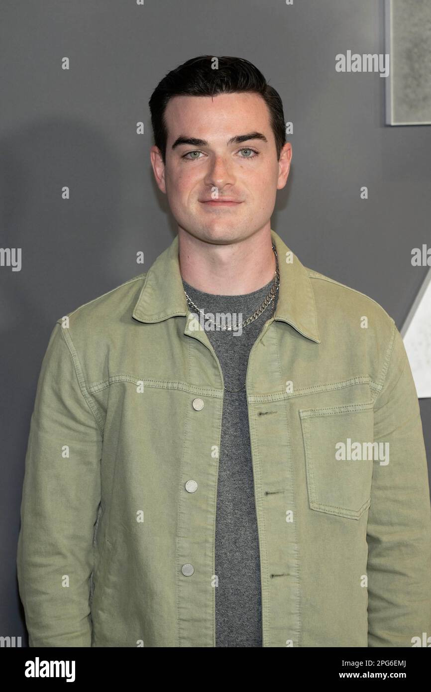 Actor Brian Perrault attends Los Angeles special screening of Netflix ...