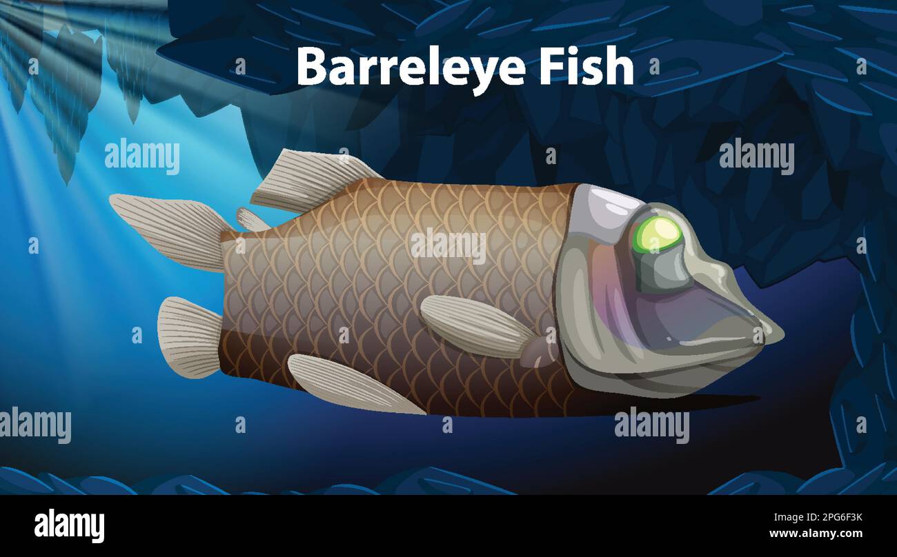 Barreleye Spook Fish