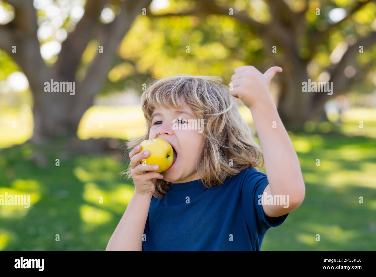 Excited kid picking apple. Child bitten apple outdoor on summer green ...