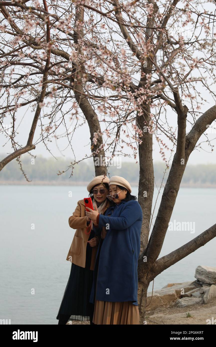 **CHINESE MAINLAND, HONG KONG, MACAU AND TAIWAN OUT** Tourists enjoy ...