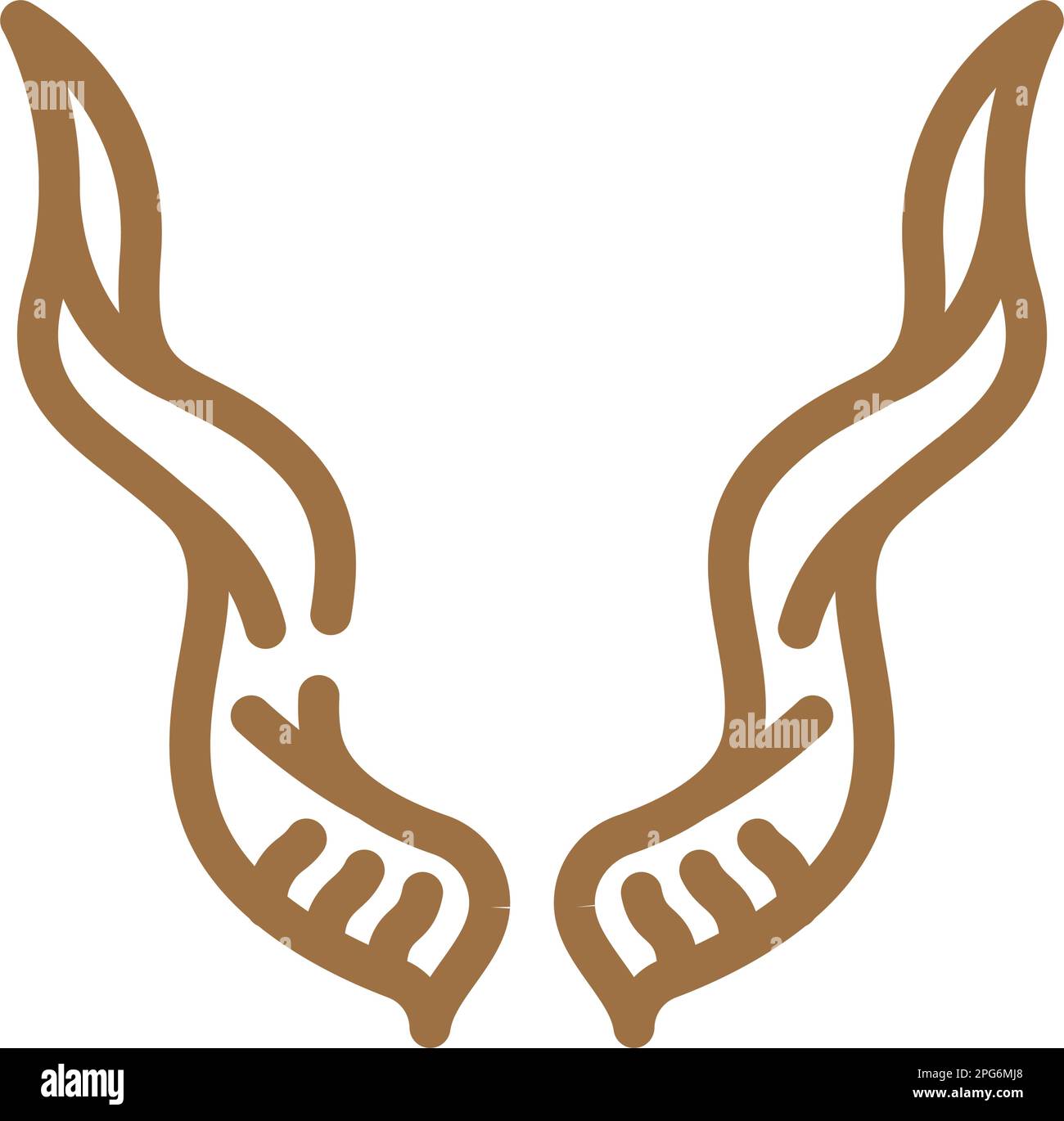 Antelope horn skull Cut Out Stock Images & Pictures - Alamy