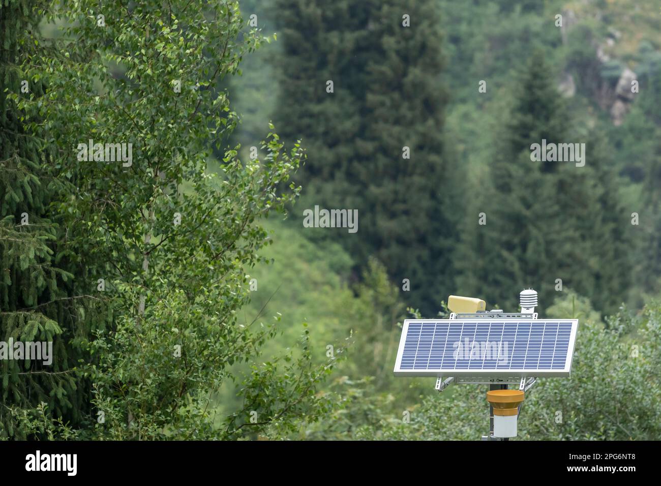 Solar panel with sensors in a forest area Stock Photo - Alamy