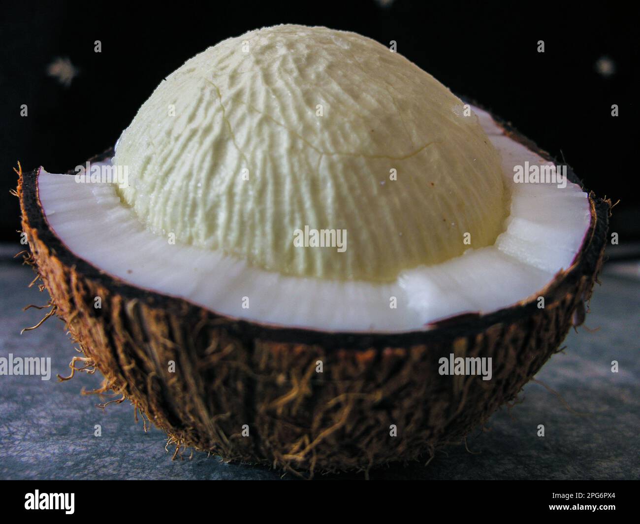 Coconut sprout hi-res stock photography and images - Alamy