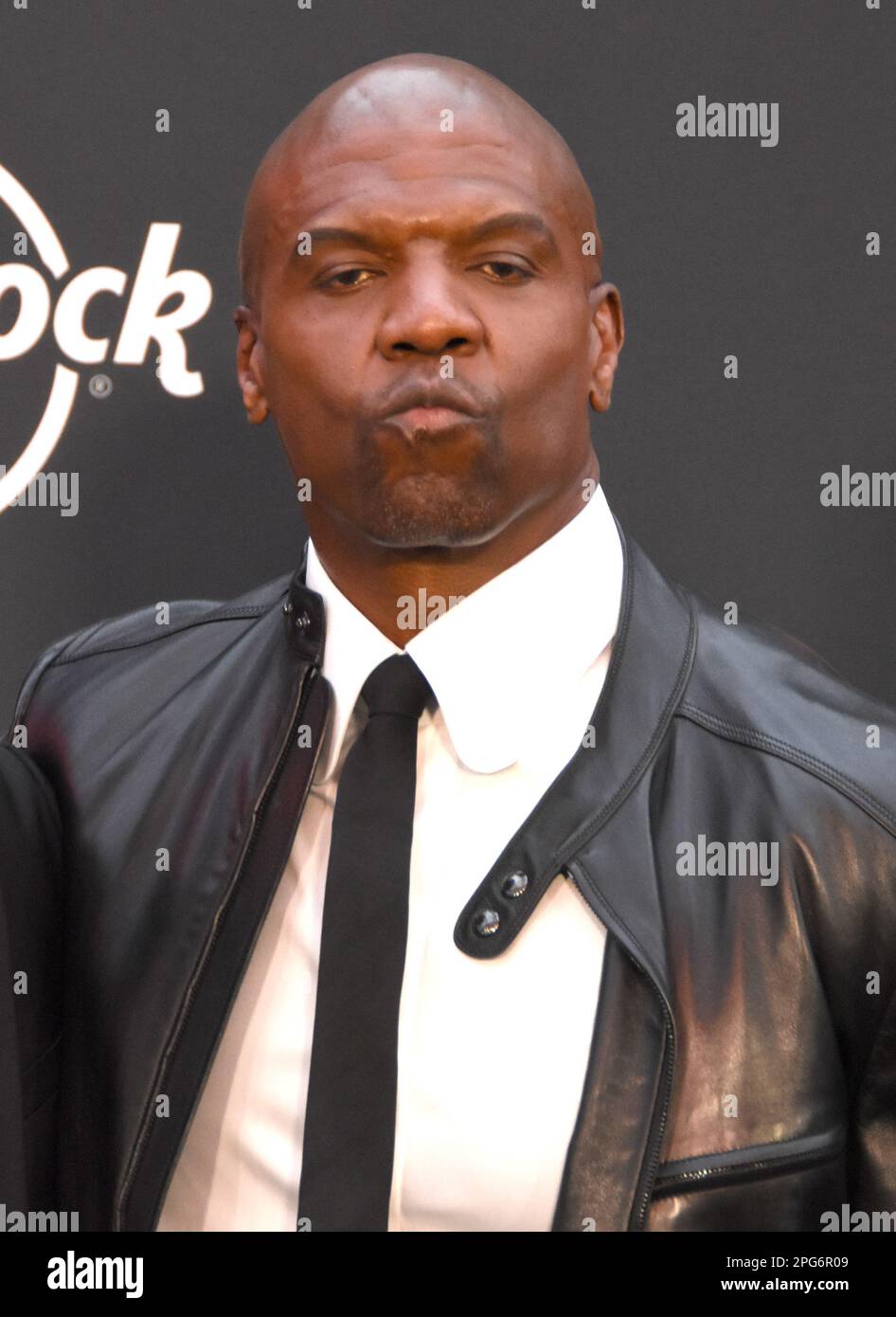 Terry Crews: From NFL to Hollywood Icon