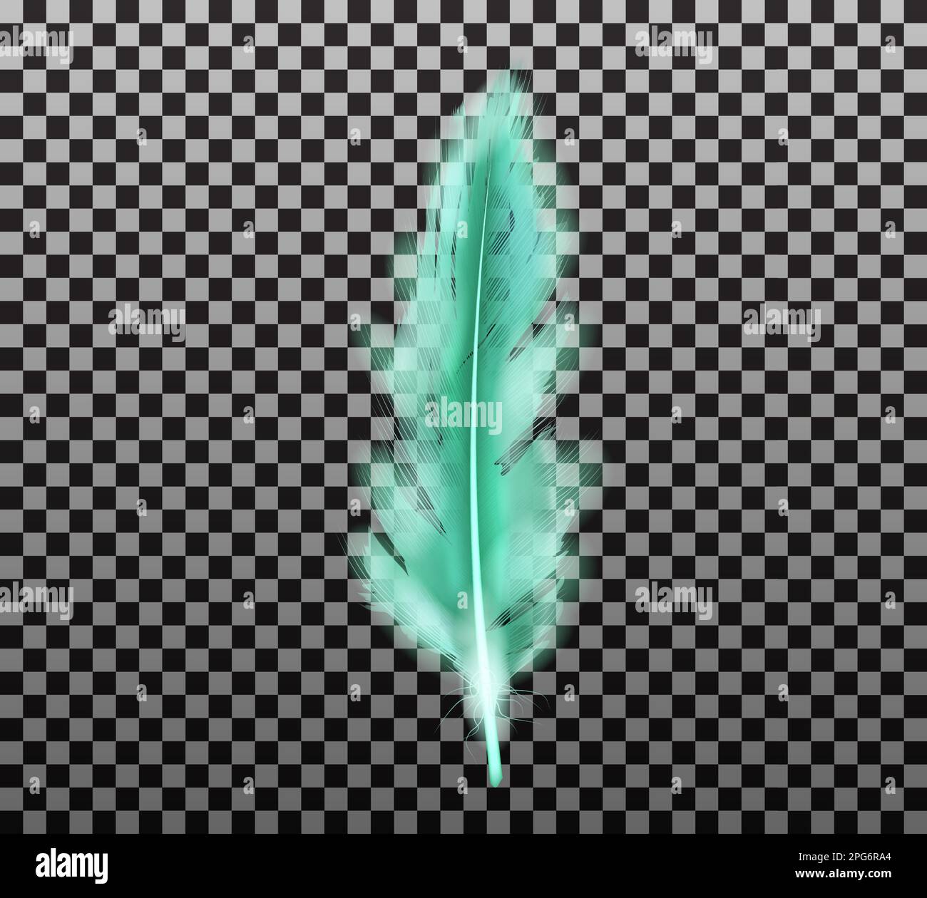 Color fluffy feather vector realistic isolated on transparent ...