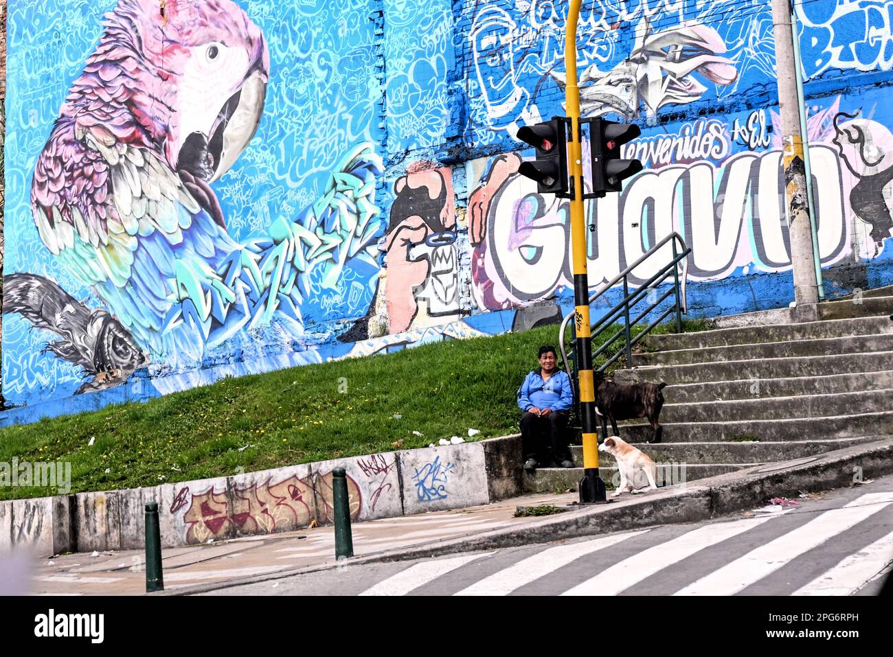 Bogot colombia sitio oficial