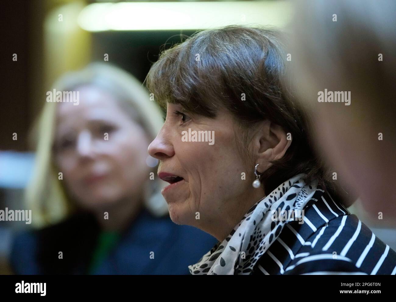 Anna Singer, a Swedish expert leading the country's investigation into ...