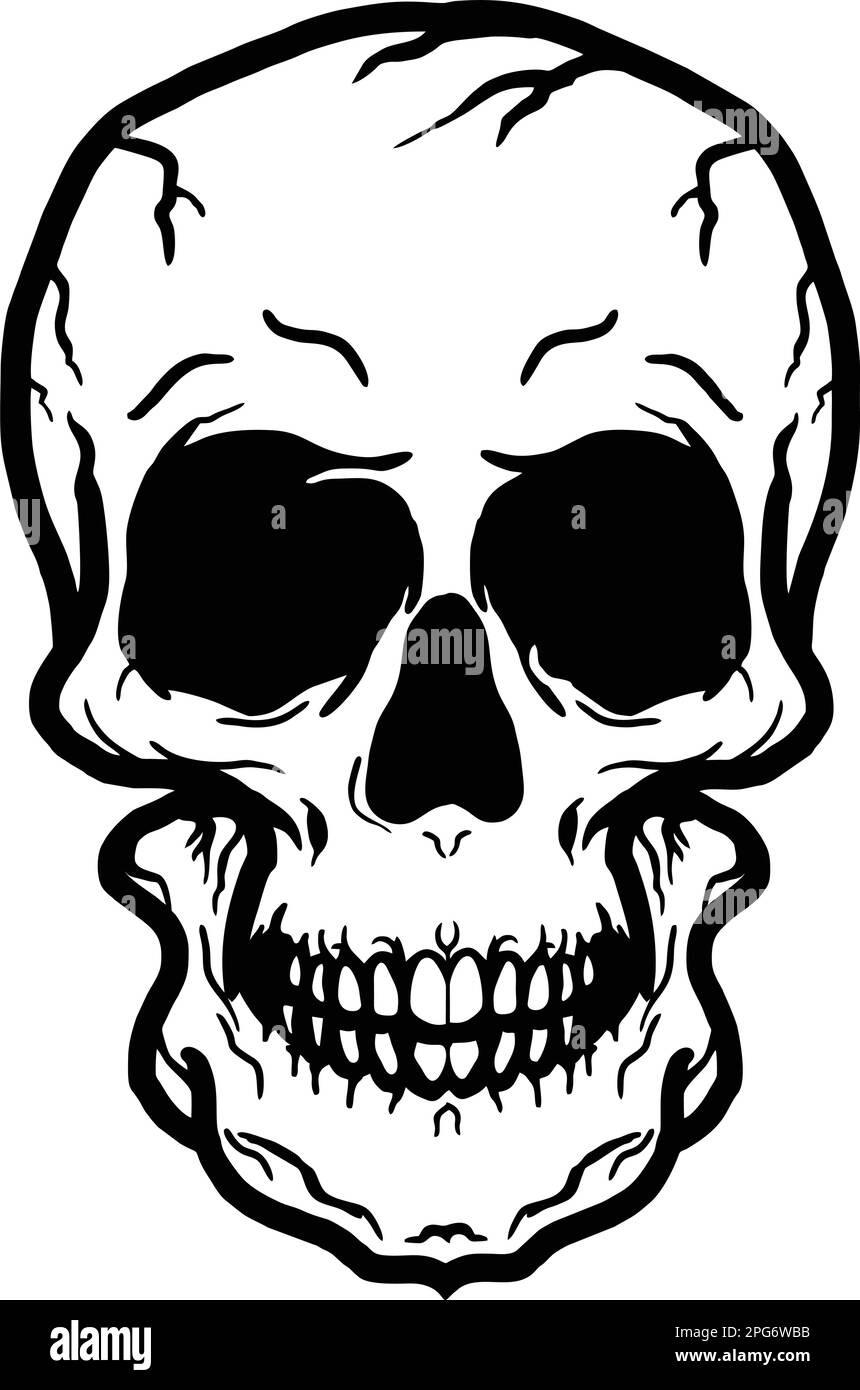 Human skull isolated on white background Stock Vector Image & Art - Alamy