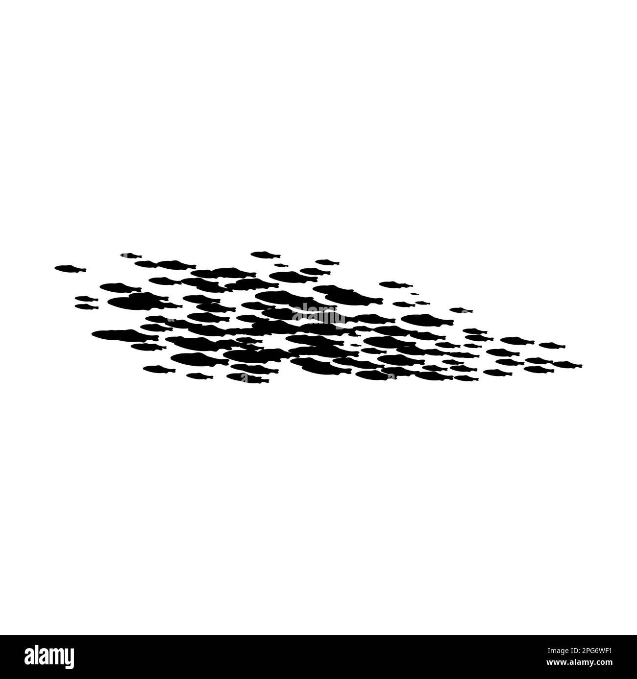 Fish shoal and school. Ocean and sea wildlife, coral reef animals ...