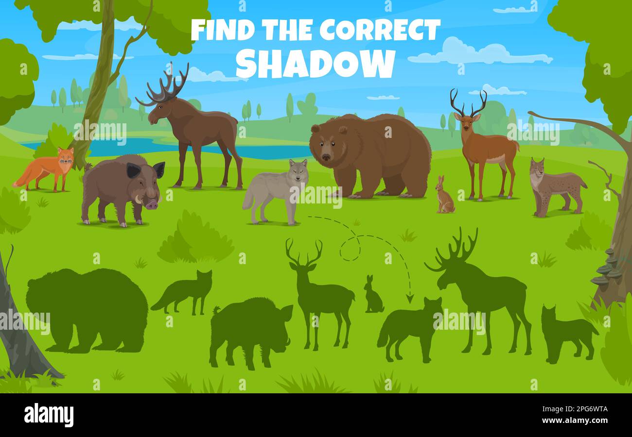 Find correct shadow of cartoon hunting forest animals and birds. Vector ...