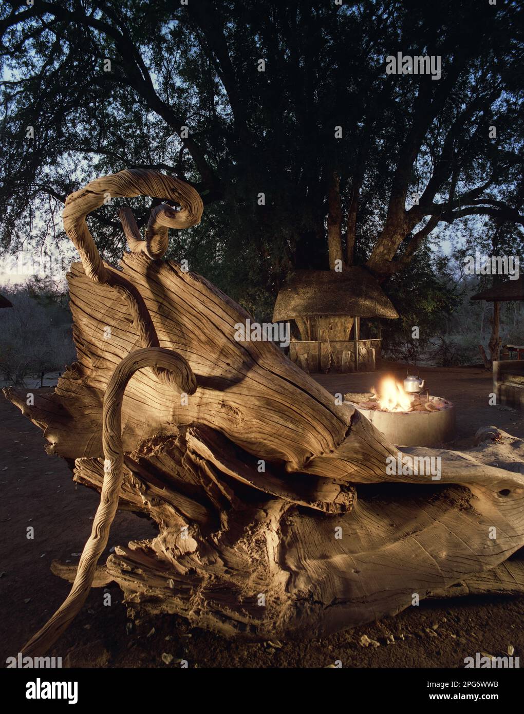 Bush camps hi-res stock photography and images - Alamy