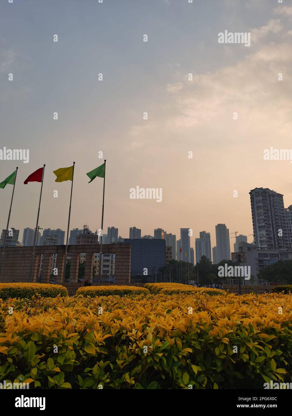 A vibrant row of flags displayed on top of a backdrop of lush greenery ...