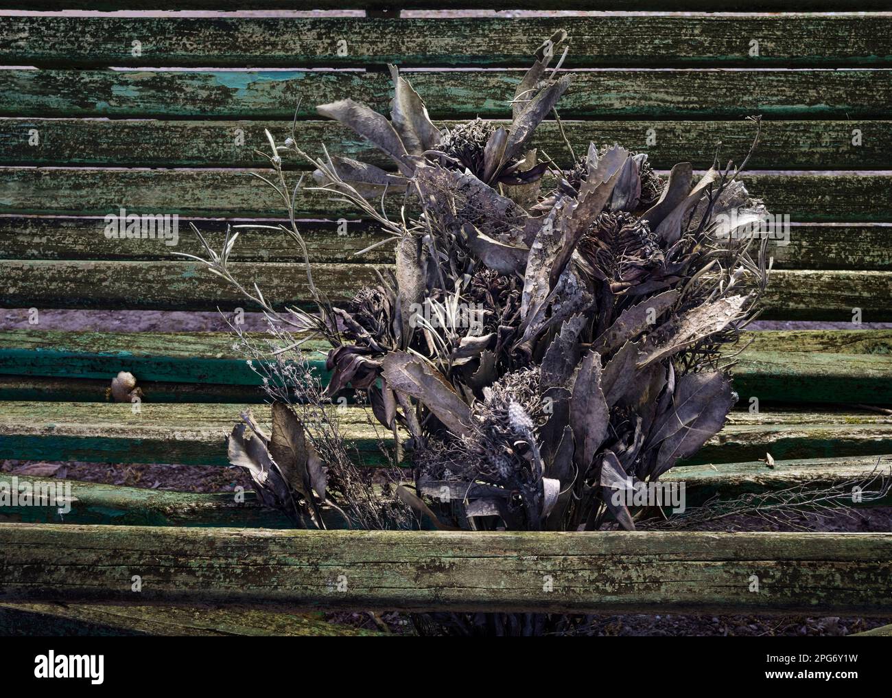 Dried flowers on a bench in the Haenertsburg cemetery Stock Photo - Alamy