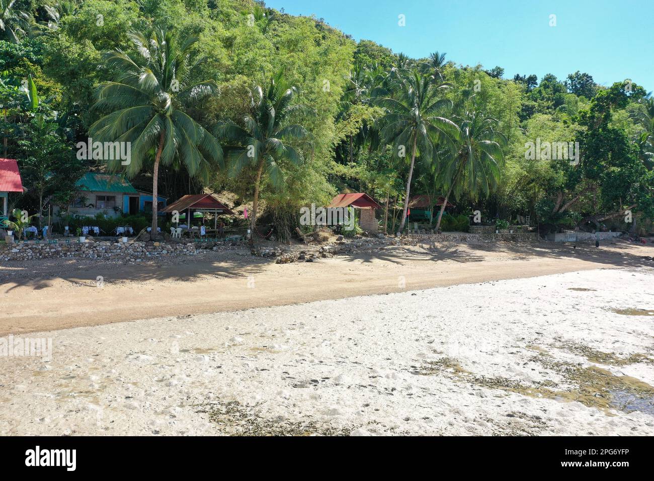 Idyllic beach in low tide in Coron in the Philippines densely overgrown ...