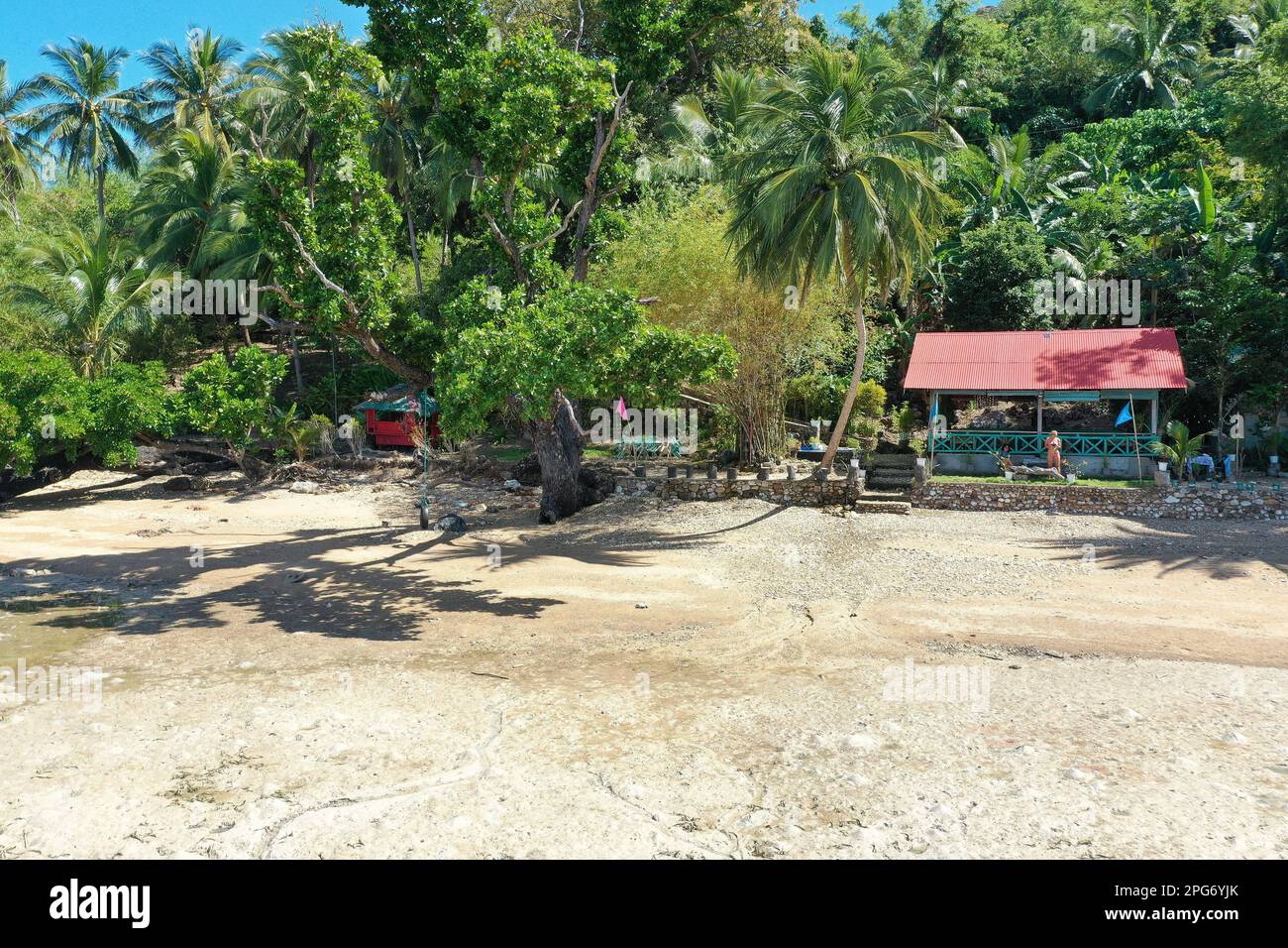 Idyllic beach in low tide in Coron in the Philippines densely overgrown ...