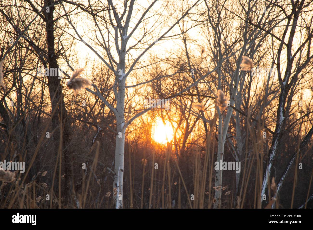 Obloko hi-res stock photography and images - Alamy