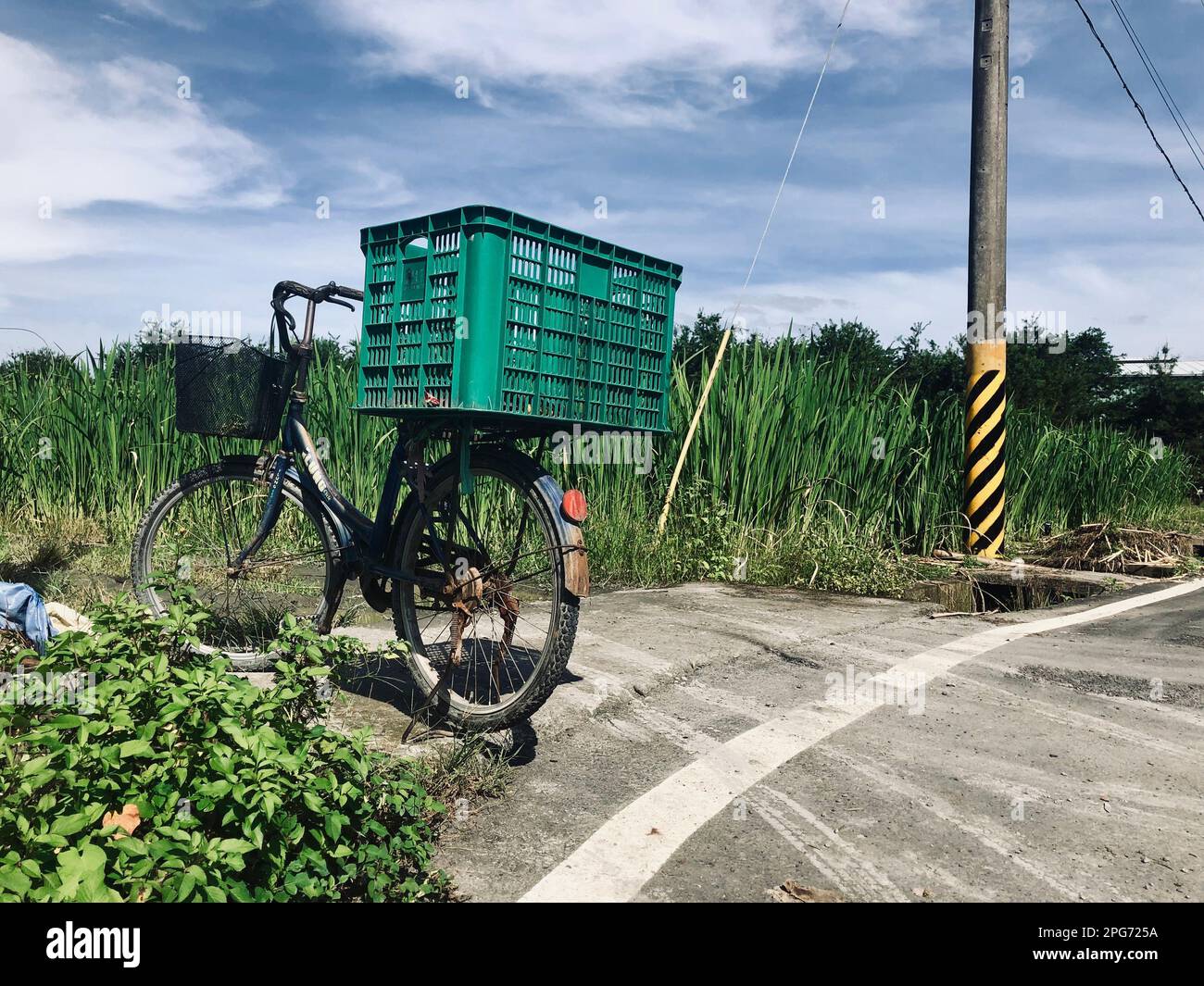 An outdoor basket on the back of a bicycle in the field Stock Photo - Alamy