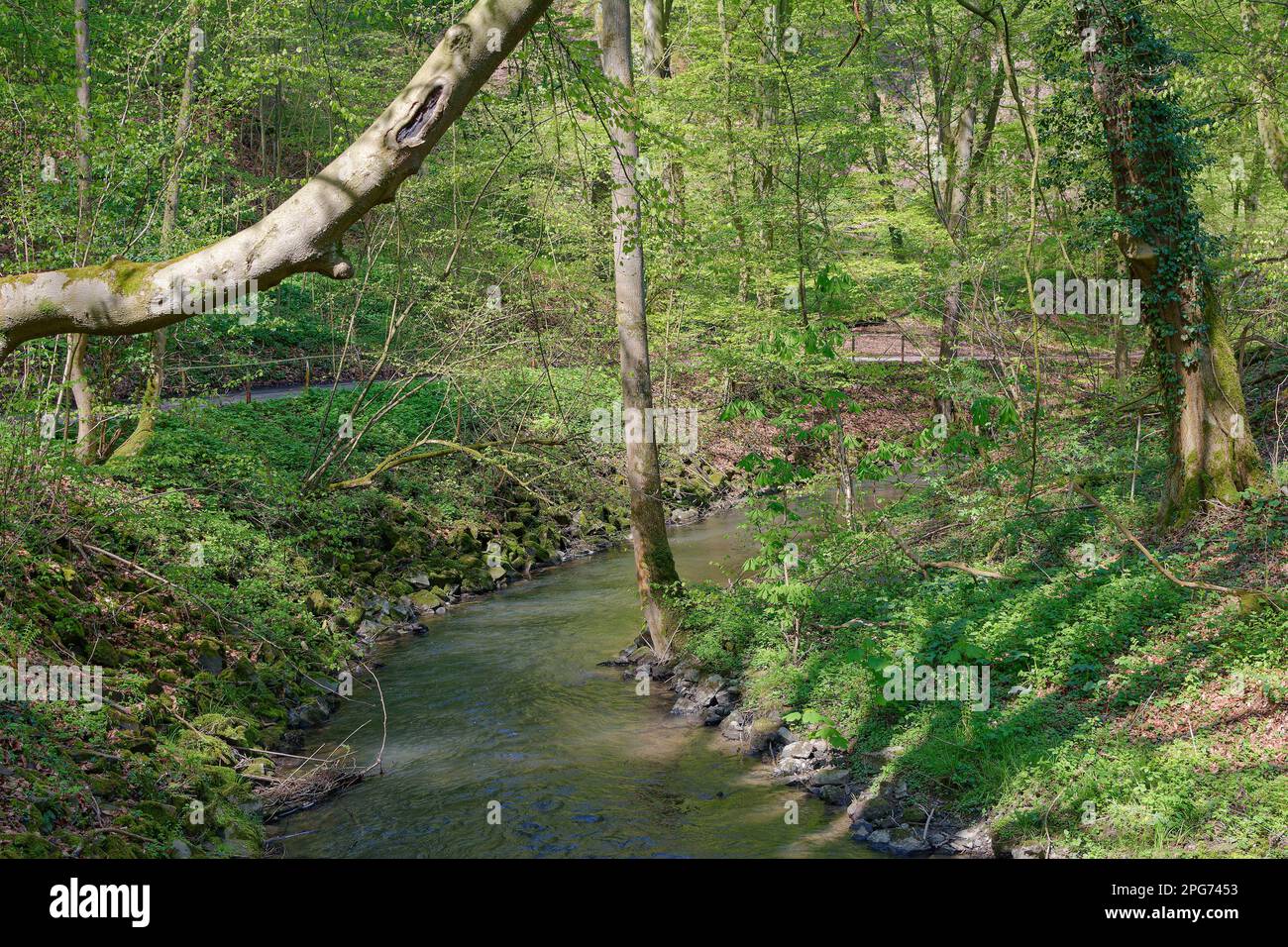 Neandertal hi-res stock photography and images - Alamy