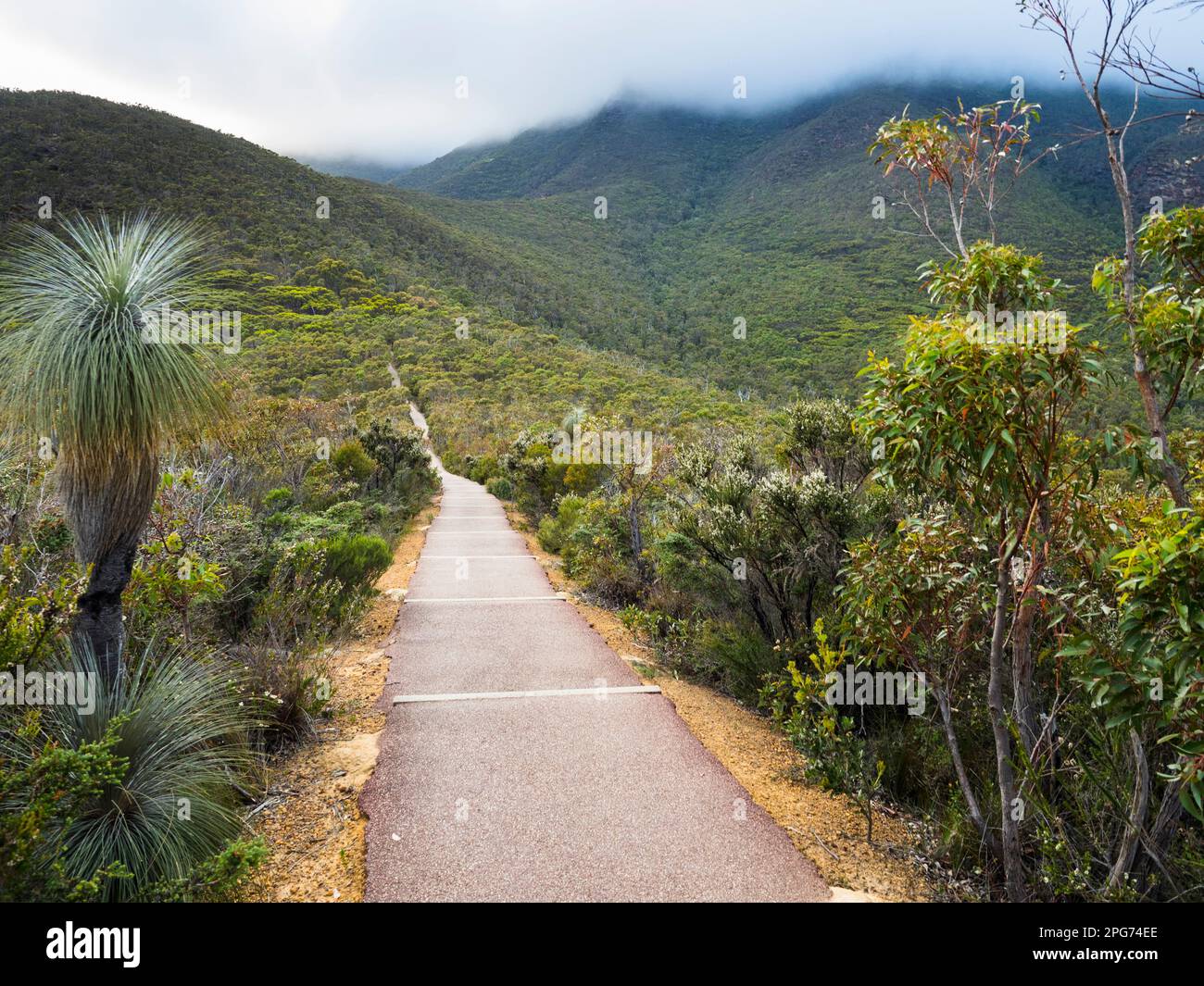 Stirling ranges wildflowers hi-res stock photography and images - Alamy