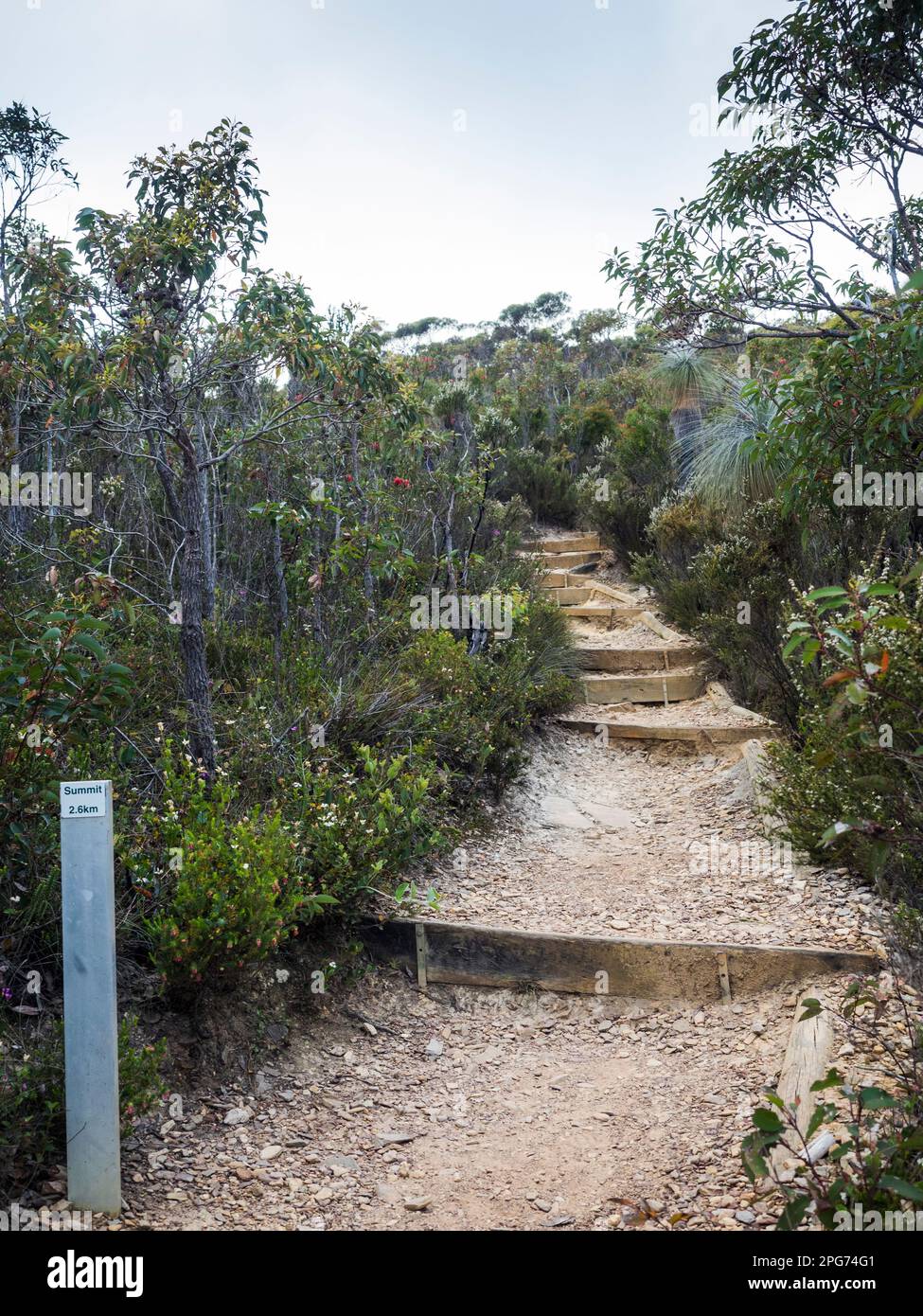 Track marker, Bluff Knoll track, Stirling Ranges National Park, Western ...