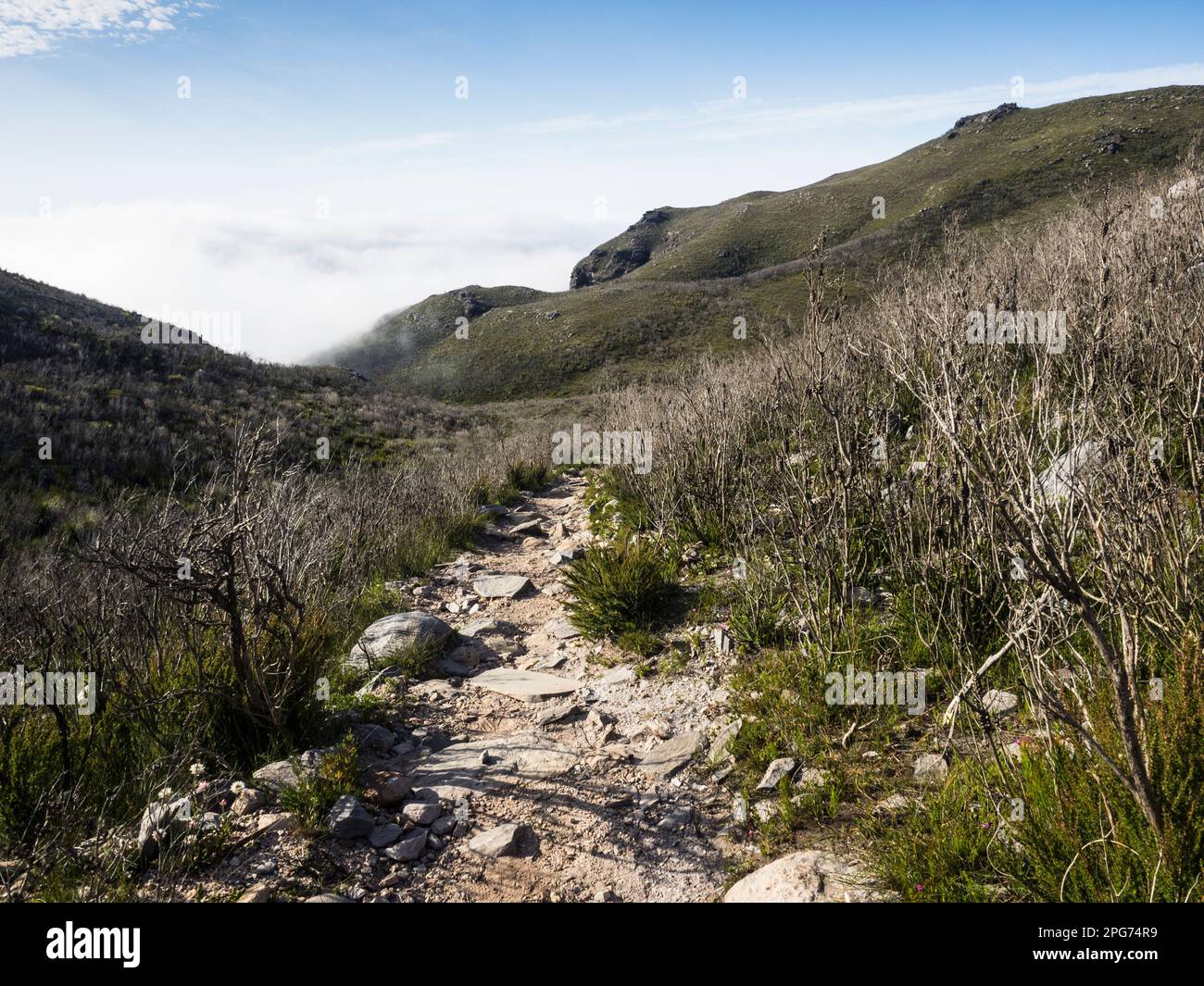 The track across the summit plateau, Bluff Knoll (1099m), Stirling ...