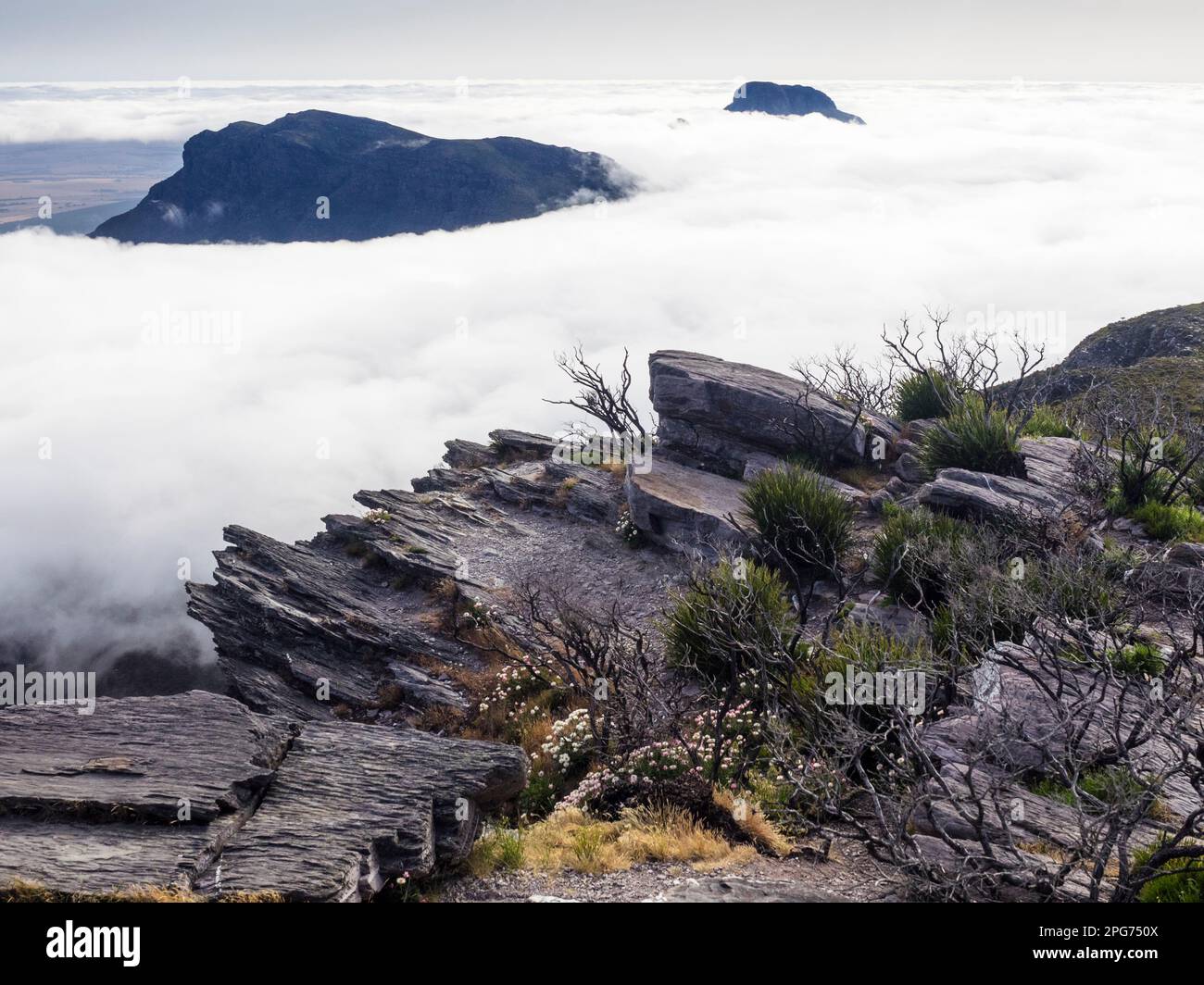 Cloud-shrouded peaks from the summit of Bluff Knoll (1099m), Stirling ...