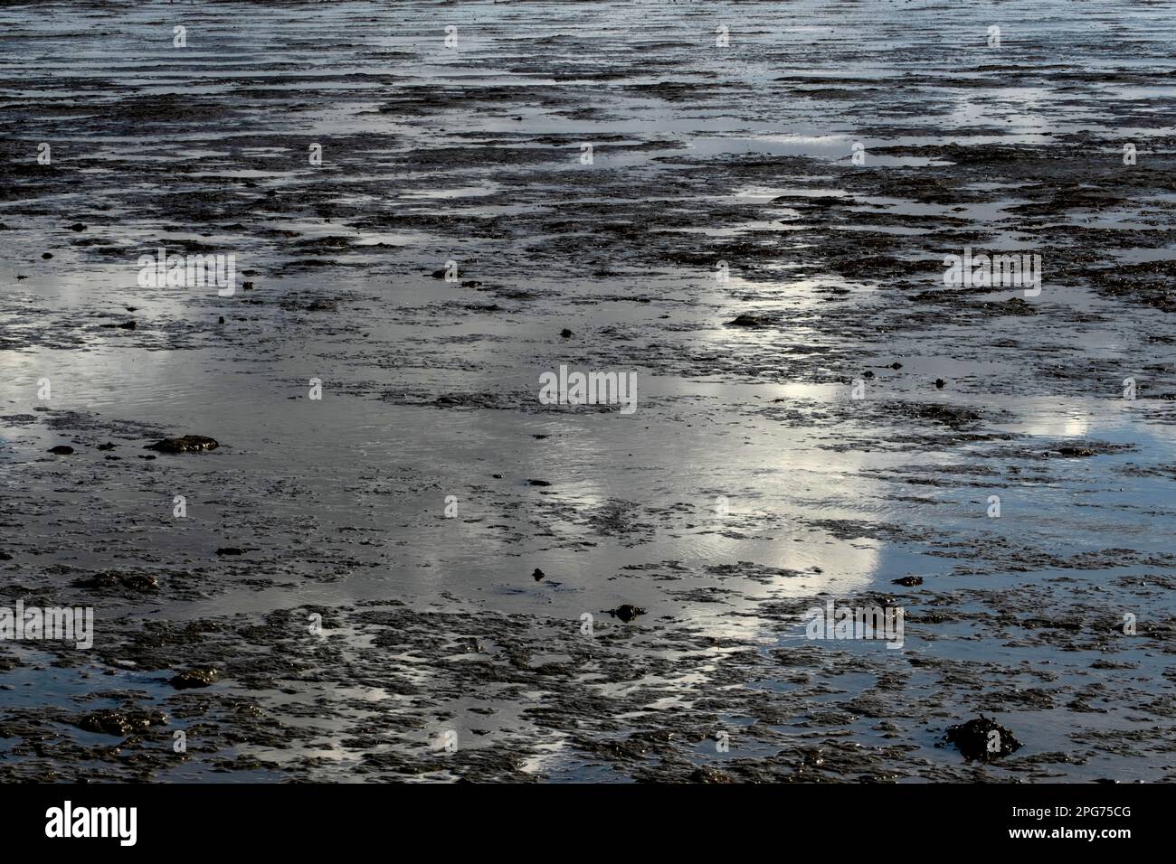 The Wadden Sea in The Netherlands during low tide Dramatic seascape ...