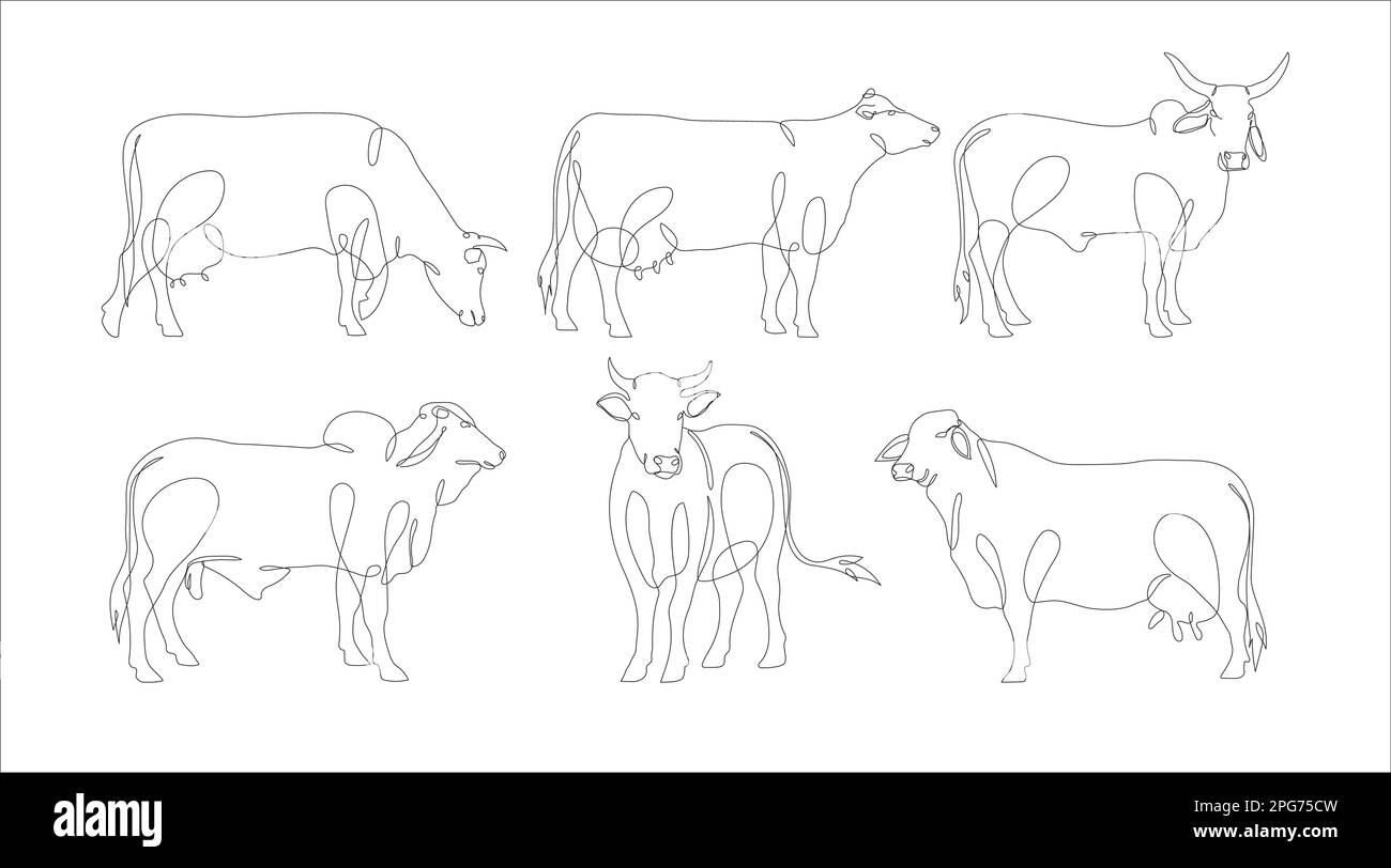 Set of Cow in continuous line art drawing style. Continuous line ...