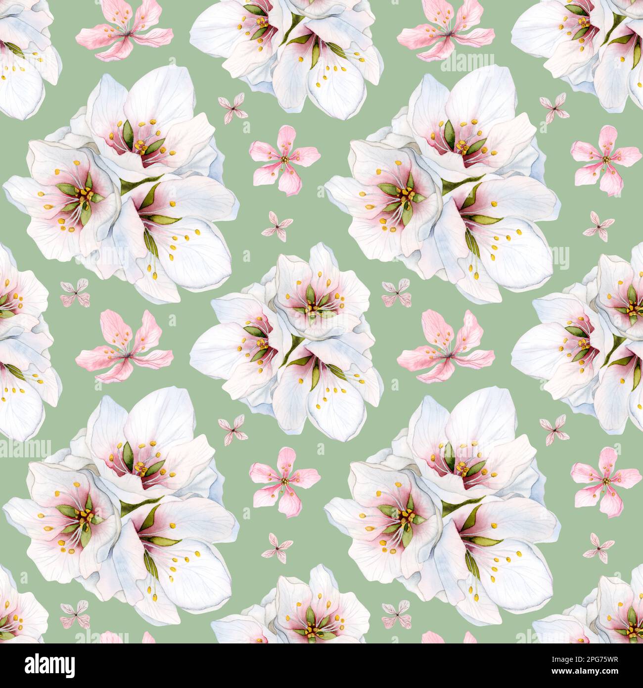 Spring green floral watercolor seamless pattern with almond tree ...