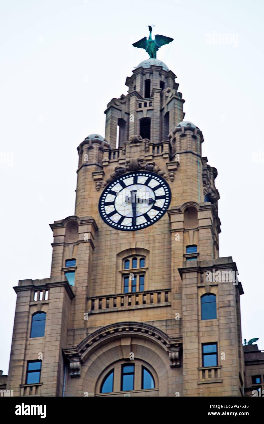 The Liver Building, Liverpool, England Stock Photo - Alamy