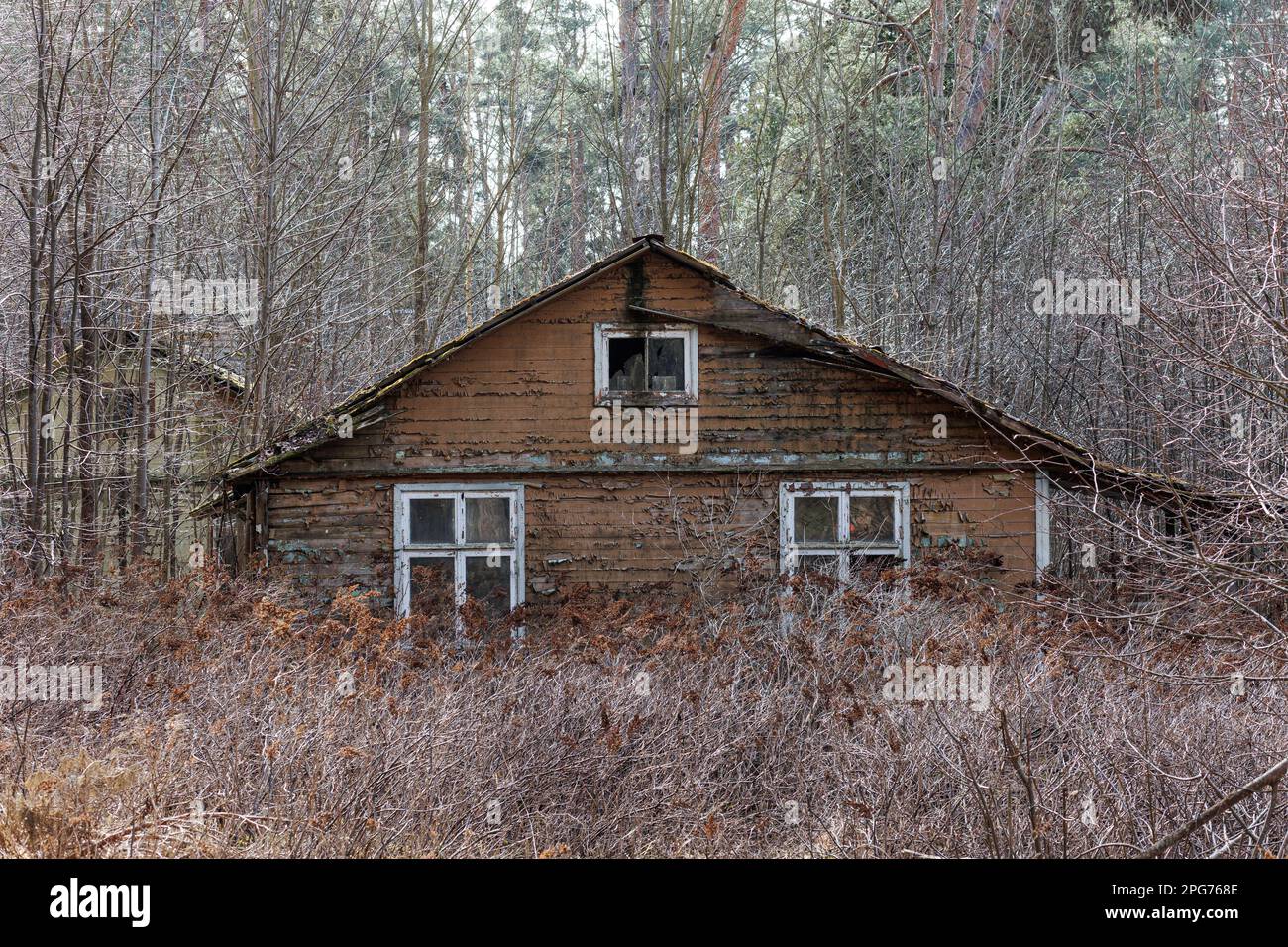 Scary tree limbs hi-res stock photography and images - Alamy
