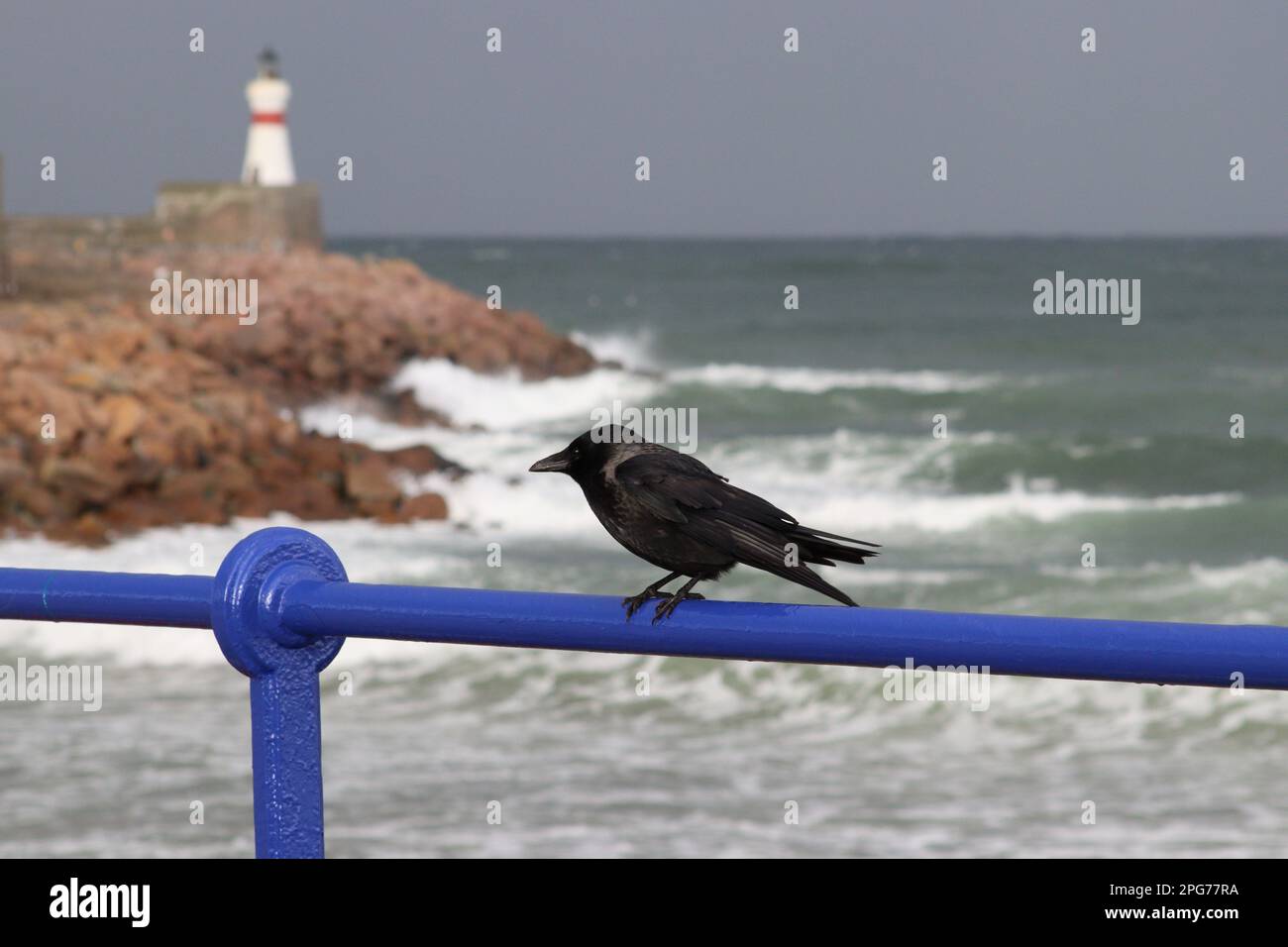 Baltic coastline rail hi-res stock photography and images - Alamy