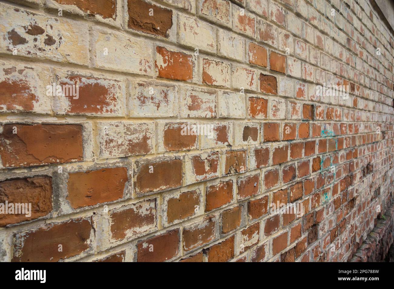 A textured brick wall featuring unique patterns in a variety of shades ...