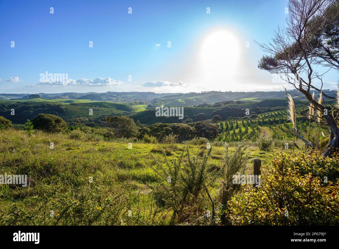 Evening adventure ride to Riverhead Forest in Auckland, New Zealand ...