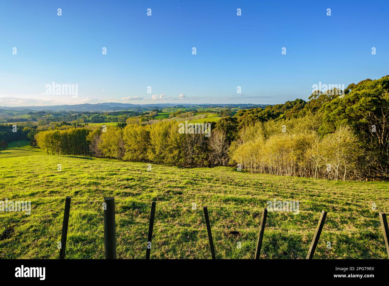 Evening adventure ride to Riverhead Forest in Auckland, New Zealand ...