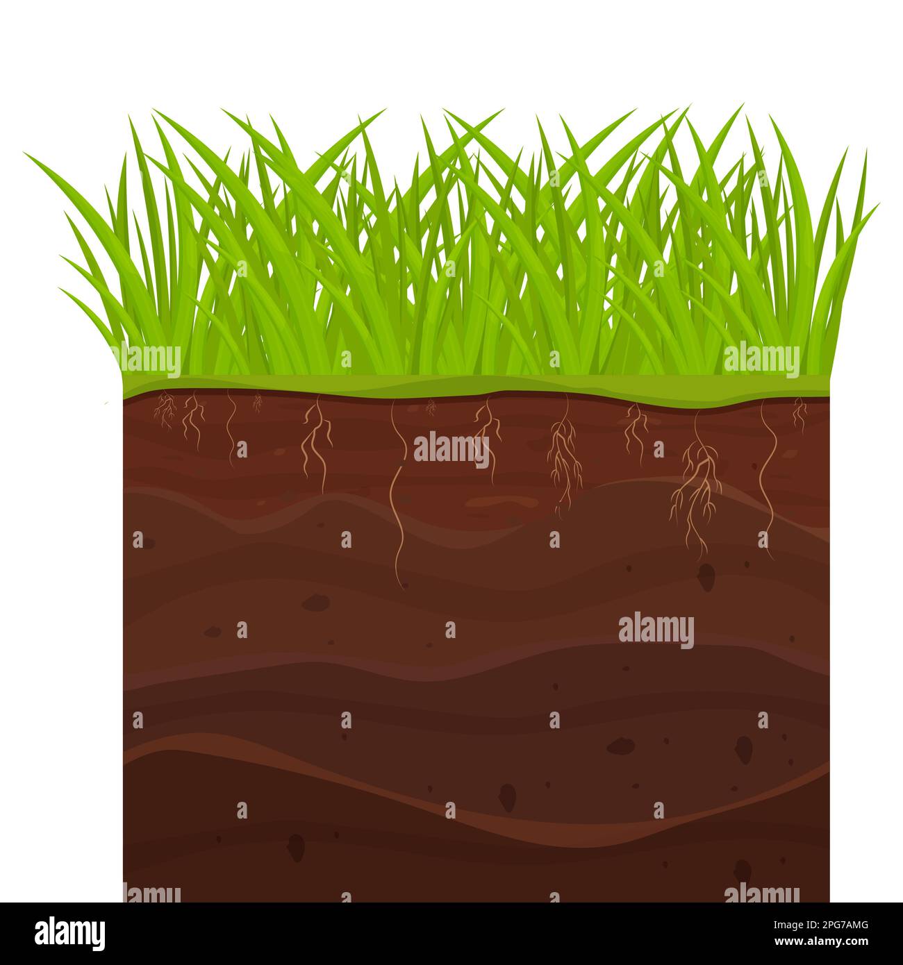 Soil, ground with layers, grass roots and stones, earth sections in ...