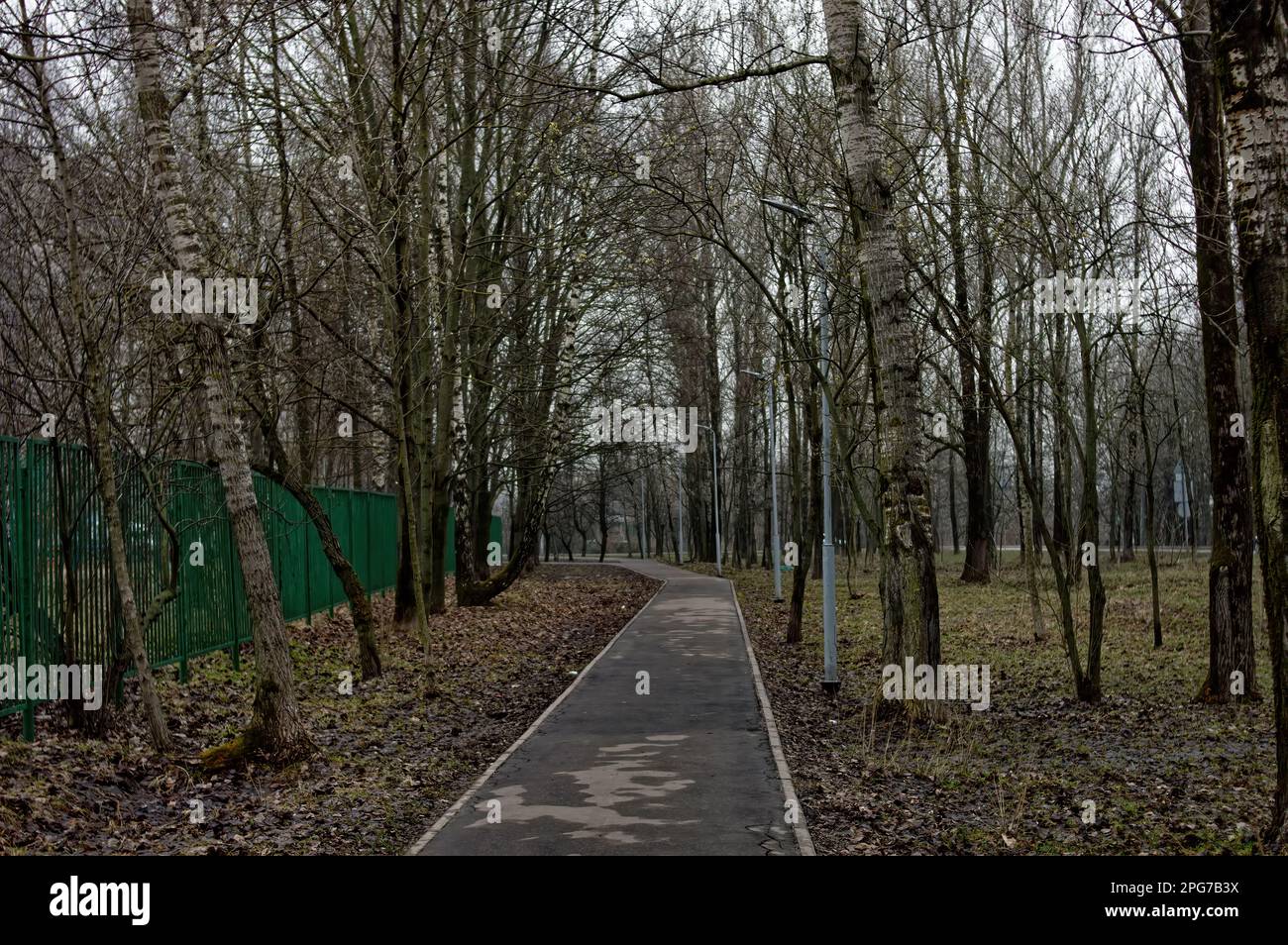 Paved pathway through park hi-res stock photography and images - Alamy