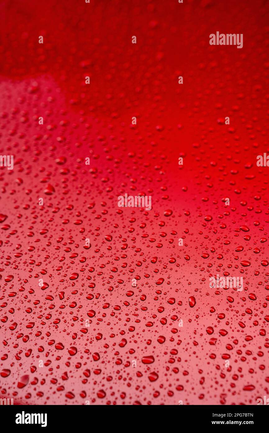 Ceramic coating car hi-res stock photography and images - Alamy