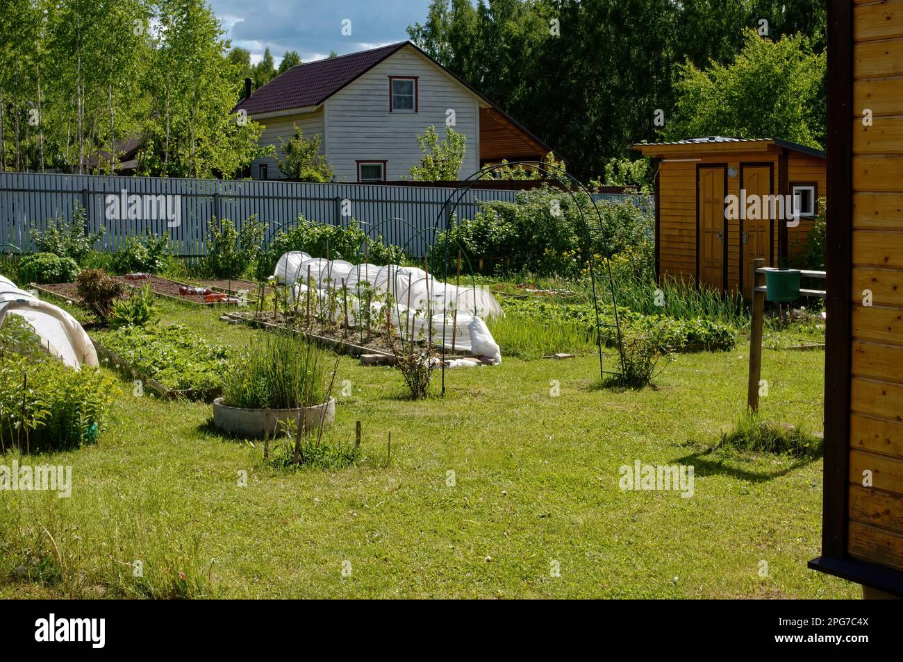 plastic watering cans in the village, in the spring Stock Photo - Alamy