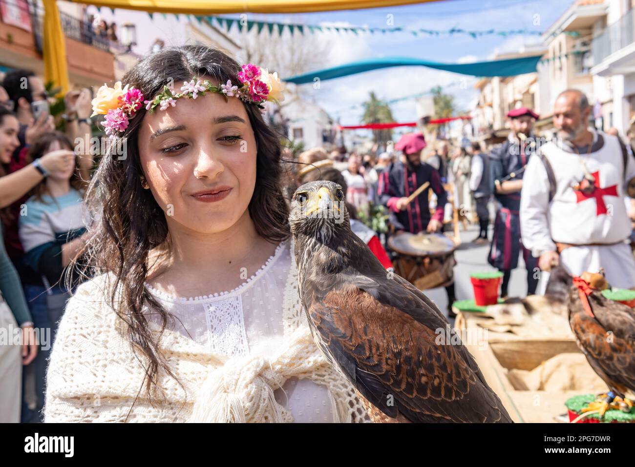 Huelva, Spain-March 18, 2023: A Harris's Hawk, Parabuteo unicinctus ...