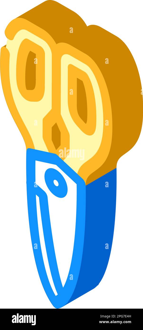 kitchen shears kitchen cookware isometric icon vector illustration ...