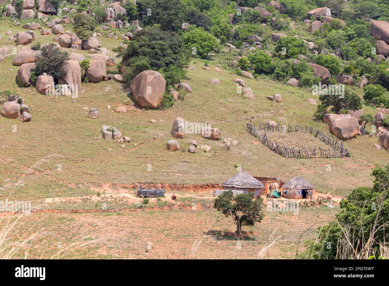 rural swazi hut and cattle enclosure in the north-west of the country ...